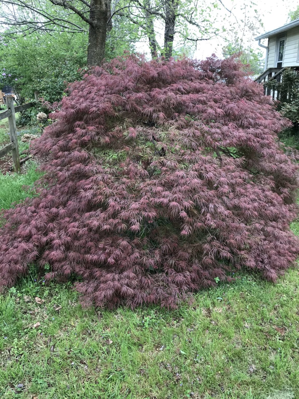 Resources – Windmill Heights Garden Center