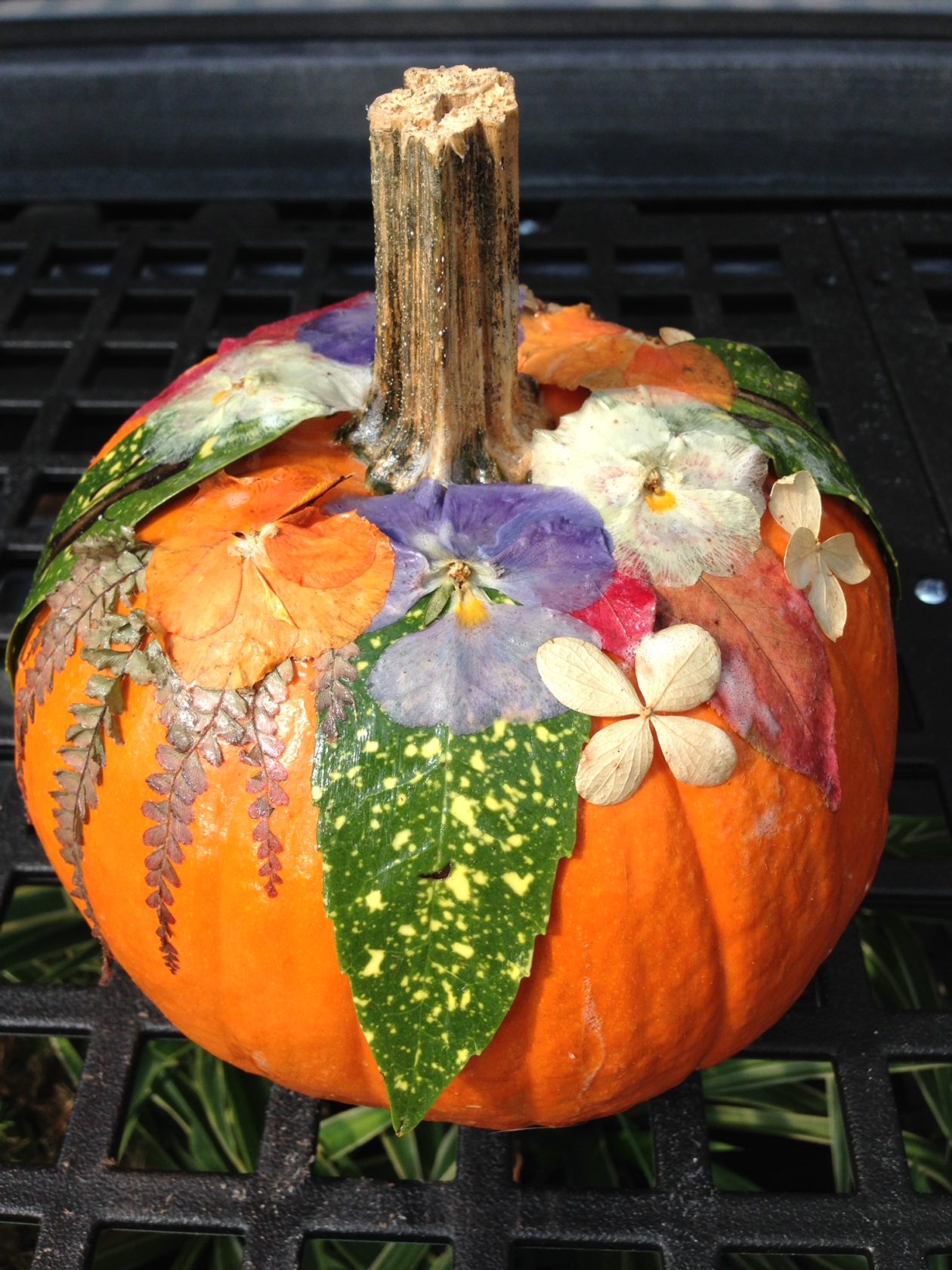 Workshops – Windmill Heights Garden Center